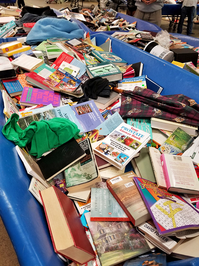 The literary lottery where cookbooks from the 1970s mingle with yesterday's bestsellers and occasional first editions that somehow slipped through.