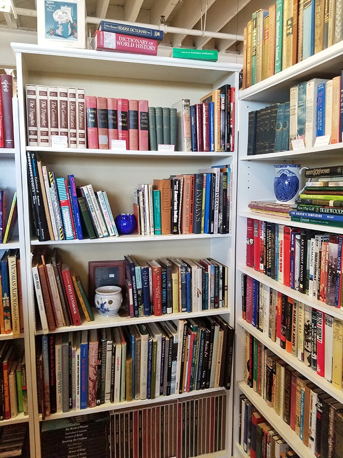 Literary heaven awaits between these shelves. From leather-bound classics to quirky vintage cookbooks, each volume holds stories beyond just the words inside.