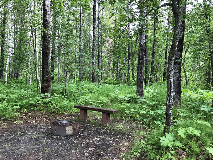 A simple bench and fire ring&mdash;Alaska's version of five-star accommodations when the surrounding wilderness is the real luxury amenity.