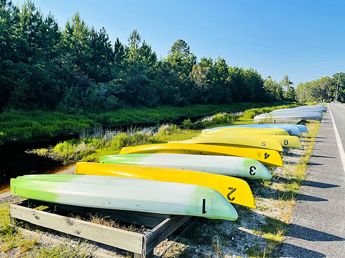 Colorful adventure vessels awaiting captains&mdash;these canoes and kayaks are your tickets to explore the swamp's secret passages.