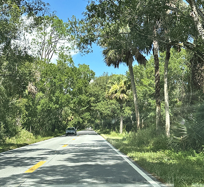 A solitary car navigates this ribbon of road, temporarily becoming part of a landscape that will outlive us all. 