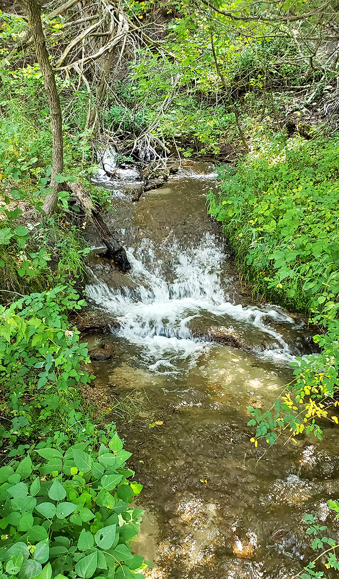 Nature's gentle cascade creates a soundtrack you won't find on Spotify &ndash; pure, unfiltered tranquility.