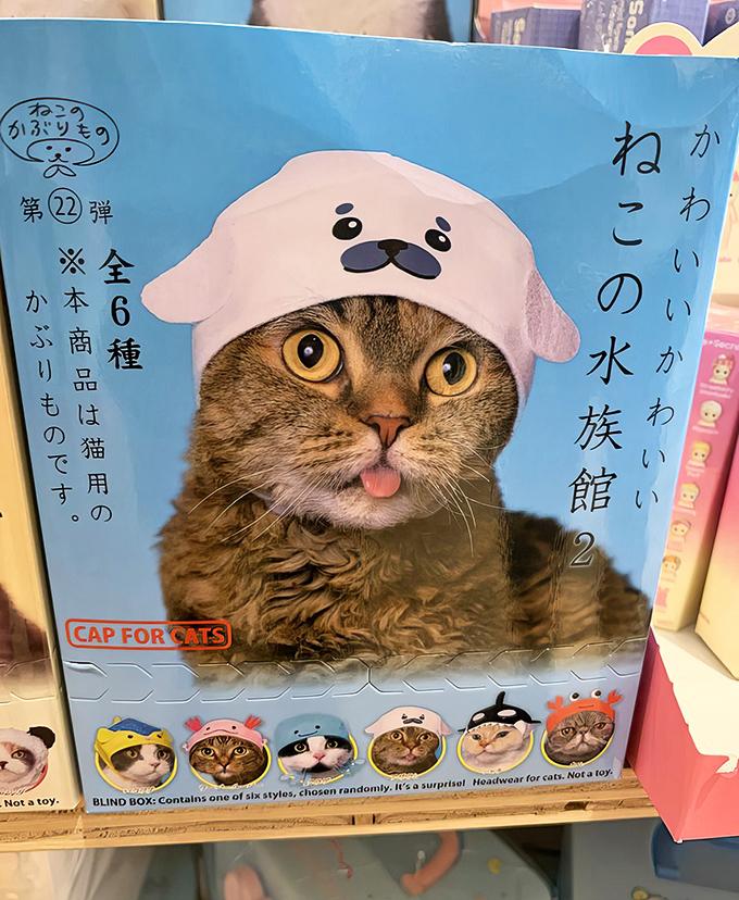 "Cap for Cats" packaging that's almost too adorable to open. Finally, a way to dress your feline friend like the seal, panda, or sailor they've always wanted to be.