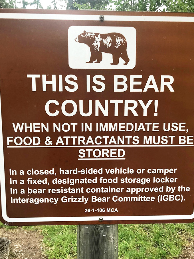 "This is bear country!" &ndash; Montana's version of "please silence your cell phones." A humbling reminder we're guests in their home.