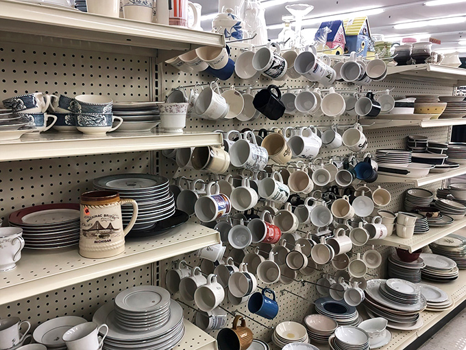 Mug kingdom! Where coffee vessels of every era congregate, from grandma's china to forgotten corporate retreats of the '90s.