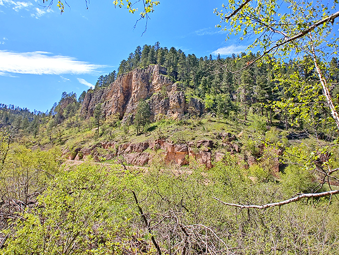 This rusty-hued cliff face has been perfecting its rugged good looks for about 1.8 billion years. Talk about a long-term beauty regimen.