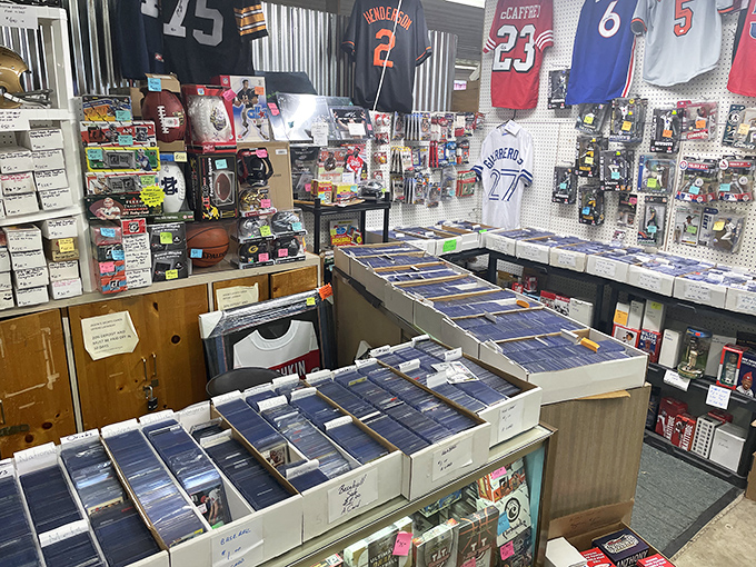 Sports memorabilia that spans generations of fandom. That Michael Jordan jersey has seen more appreciation than most retirement accounts.