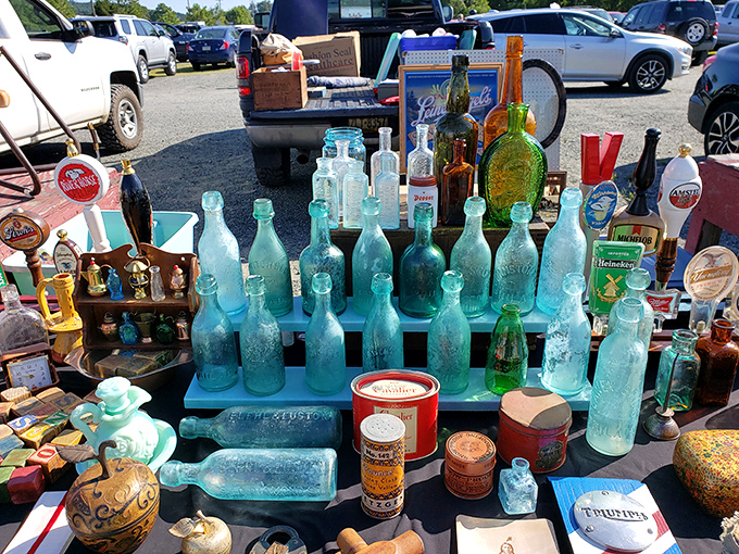 Sunlight transforms ordinary glass into jewel-toned treasures. These bottles once held medicine and soda&mdash;now they hold history.