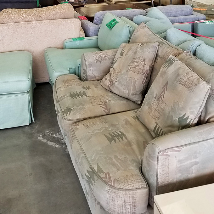 The couch collection &ndash; where 1990s patterns meet 2020s budgets. That southwestern motif is just waiting for its comeback moment.