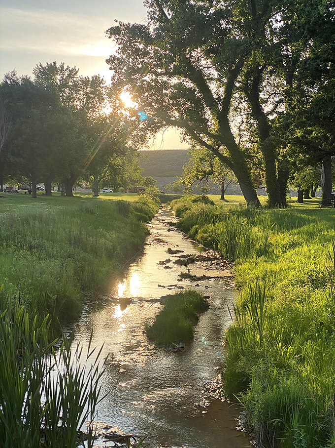 This gentle creek catches the setting sun like liquid gold, creating the kind of moment that makes you forget to check your phone.