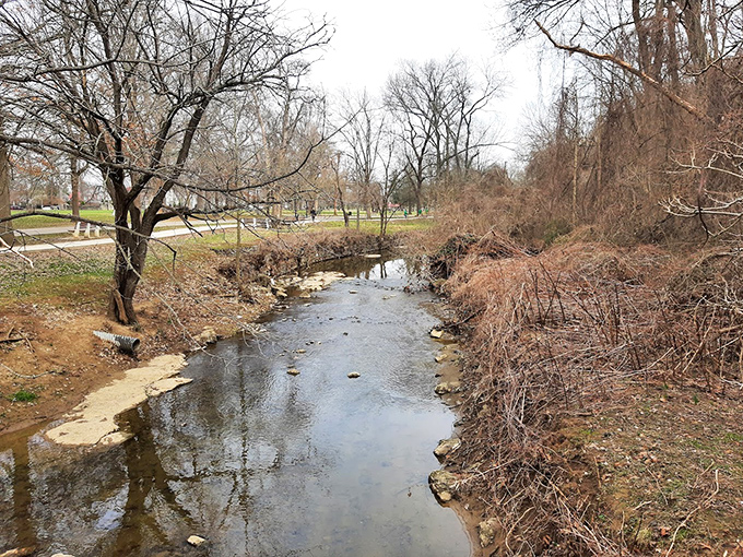 Four seasons of reflection. Even in winter's embrace, the park's gentle stream continues its timeless journey through Huntington's beloved green space.