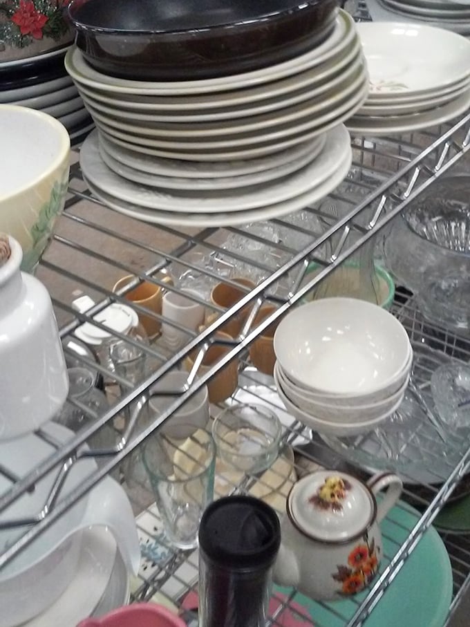 Dish department: where mismatched plates become "eclectic dining collections" and nobody judges your unconventional tableware aesthetic.