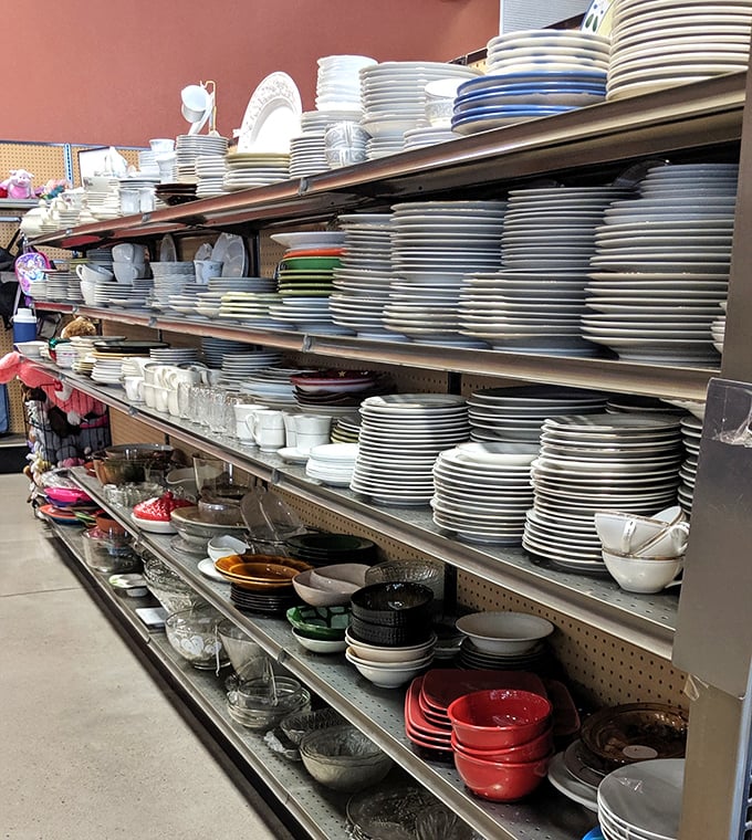 Plates upon plates upon plates&mdash;enough dishware to host a dinner party for half of Cheyenne, all priced less than a drive-thru meal.