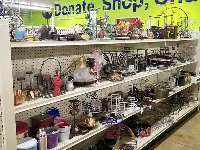 Metal and ceramic treasures line the shelves like artifacts in a museum of everyday life. Someone's former fruit bowl could become your new succulent planter.