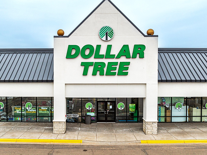 The Dollar Tree: where Minnesotans with champagne taste and beer budgets find party supplies that don't scream "I spent exactly one dollar on this."