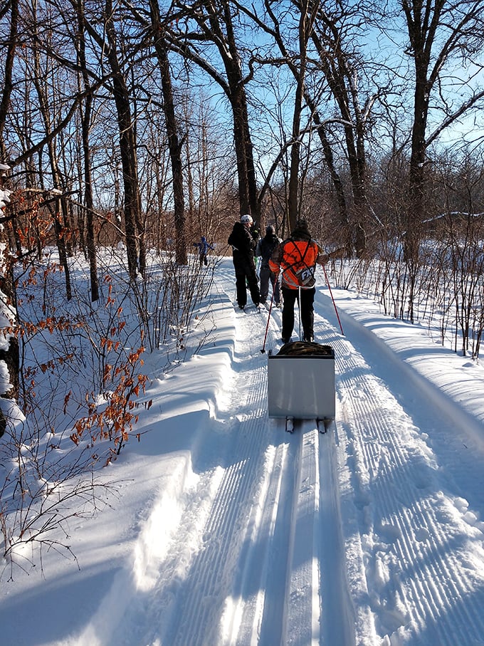 Winter transforms the park into a cross-country skiing paradise. Those groomed trails are practically begging for your ski tracks.