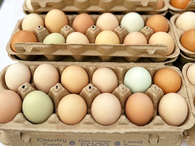 The humble egg, nature's perfect package, comes in shades that would make a paint store jealous. Farm-fresh protein waiting for its breakfast debut.