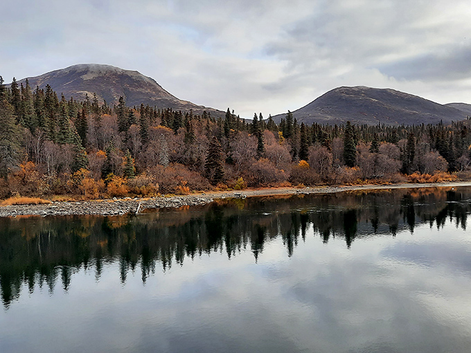 Fall's paintbrush transforms the landscape into a masterpiece. Even the trees dress their best for Alaska's brief autumn fashion show.