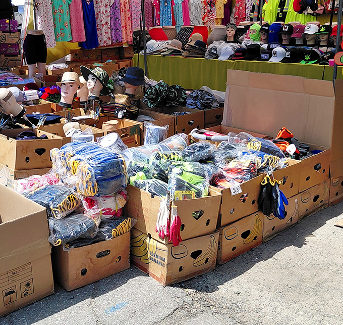 A cardboard box kingdom where fashion finds and mannequin heads coexist in chaotic harmony. Retail therapy at its most adventurous.