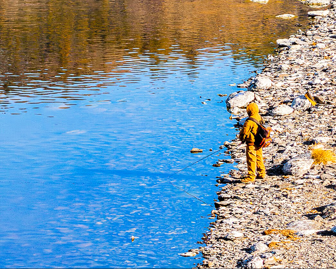 Fishing the Susan River – where "gone fishing" isn't an excuse to avoid work but a legitimate lifestyle choice.