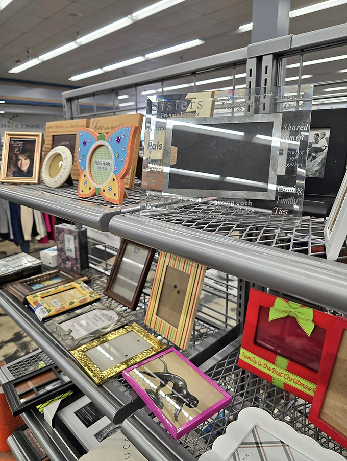 Picture frames waiting for new memories—from elegant glass to whimsical designs, each one a window to your next wall gallery.