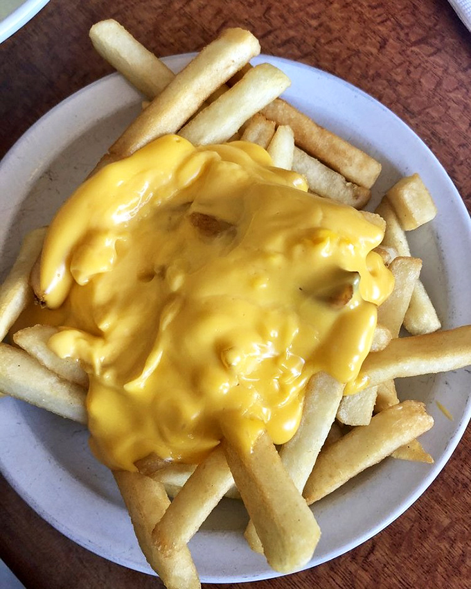 Cheese fries that don't pretend to be anything but what they are: a glorious, melty indulgence that your doctor doesn't need to know about.