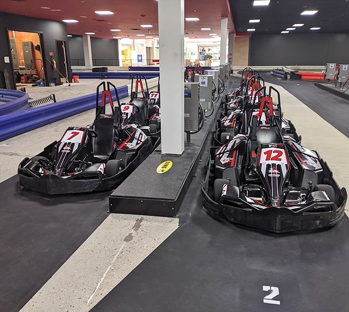 These aren't your childhood go-karts &ndash; sleek, numbered racing machines waiting to fulfill your Formula 1 fantasies.