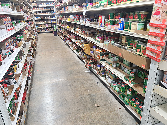 The grocery aisle &ndash; where pantry staples and gourmet surprises create a treasure hunt for the culinarily curious and budget-conscious alike.