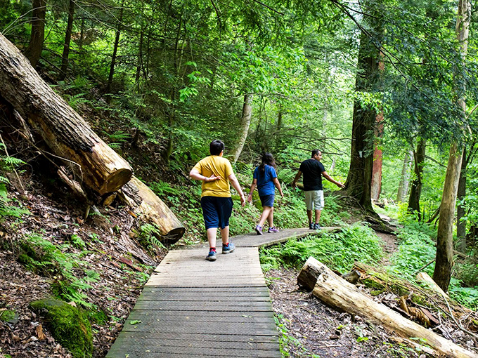 Three hikers discover what we've all been searching for: a path through the woods where cell service fades and conversation flourishes.