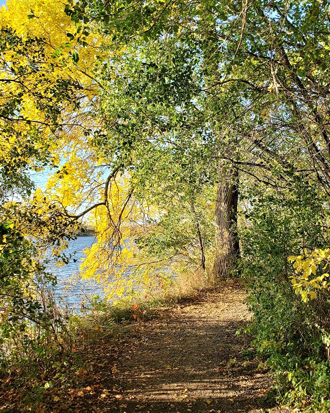 Fall paints this trail in amber and gold, creating a path that feels like walking through nature's own art gallery.