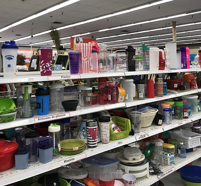 The plastic paradise where forgotten Tupperware goes to find new purpose. That popcorn bucket might be your next plant holder!