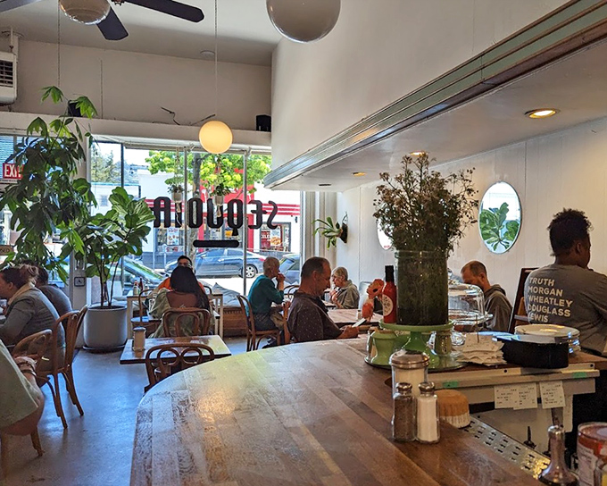 Plants, natural light, and happy diners create the kind of atmosphere where you could linger for hours, plotting your return visit before you've even left.