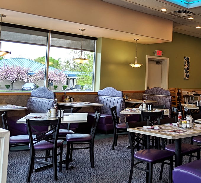 Sunlight streams through windows, illuminating a dining room where countless Pennsylvania mornings have begun. Purple booths invite you to slide in and stay awhile.