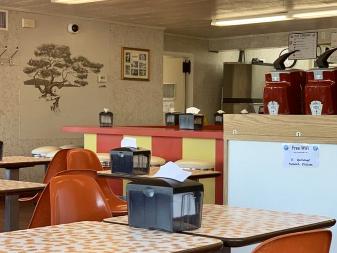 The tree mural watches over diners like an old friend, while those tissue dispensers stand ready for sauce-covered fingers.