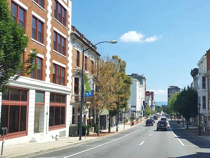 Hagerstown's tree-lined streets showcase the architectural diversity that makes downtown living both picturesque and practical for active retirees.
