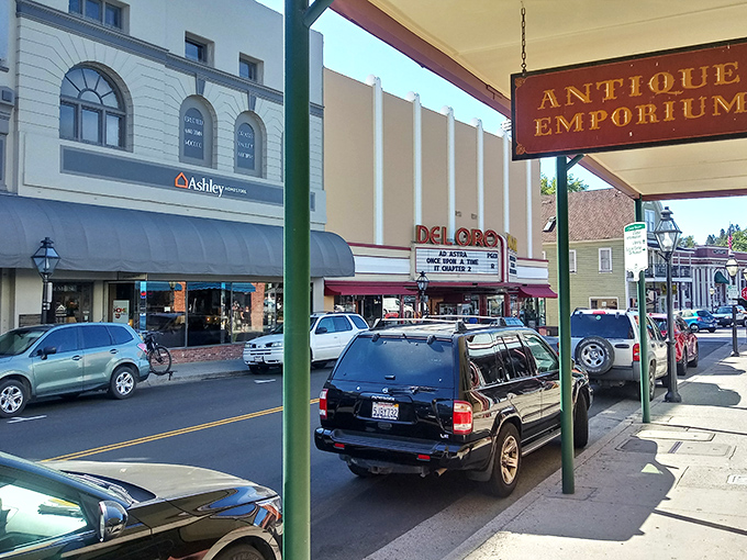 The historic Del Oro Theatre's marquee still lights up downtown nights, a beacon of entertainment that's been drawing moviegoers since the days of Bogart and Bacall.