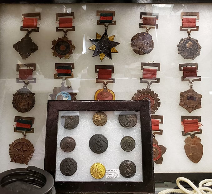 Military medals and coins displayed with reverence, each one representing someone's courage, sacrifice, and place in American history.