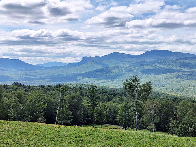 Center Hill's vista unfolds like a living topographical map, showcasing Maine's western mountains in all their blue-hued, undulating glory.