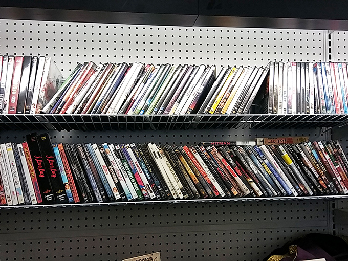 Hollywood's greatest hits line these shelves, ready to transform Tuesday night into an impromptu film festival for less than a streaming subscription.