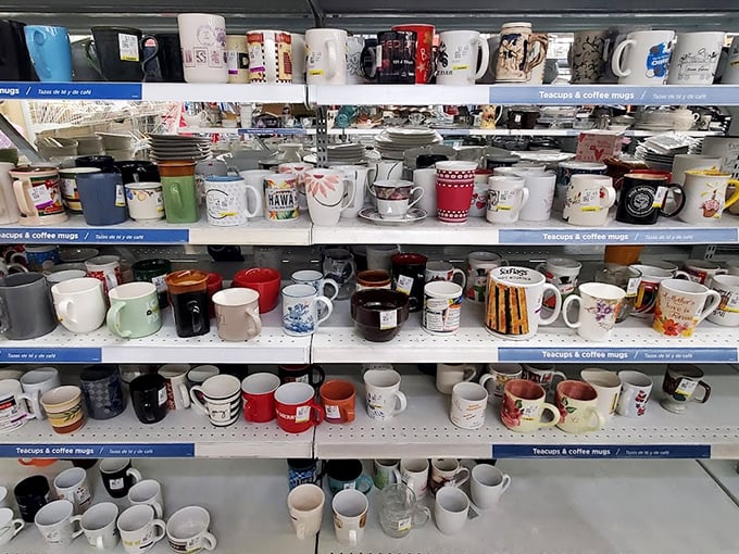 The mug section: a ceramic library where coffee vessels from vacations, corporate events, and "World's Best" someones await new morning routines.