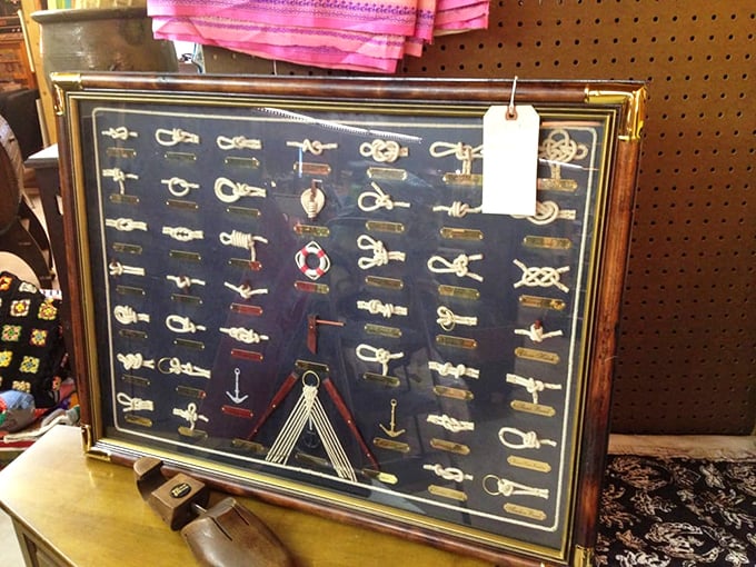 This framed collection of nautical knots would make any sailor proud&mdash;and any landlubber question their rope-tying inadequacies.