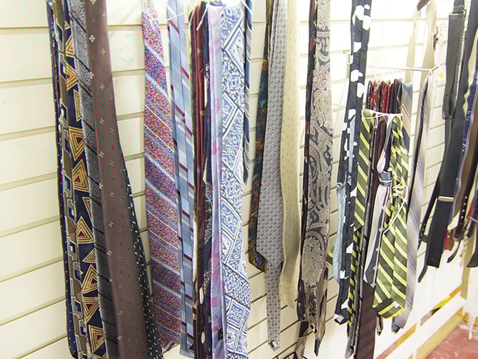 The necktie collection: silent witnesses to job interviews, weddings, and funerals past, now hoping you'll give them purpose beyond decorative cat toys.