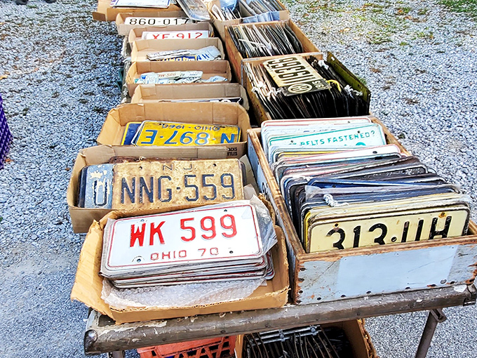 License plates that outlived their vehicles. Each rusty rectangle tells a story of road trips, family vacations, and that '79 Chevy that finally quit.