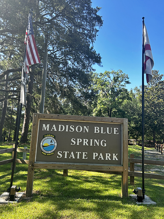 The park entrance sign stands proudly between flags, like a humble announcement that you've arrived somewhere genuinely special.