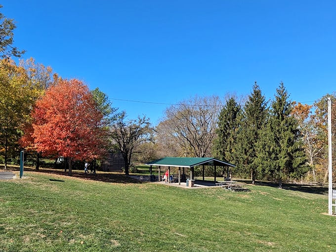 The perfect picnic pavilion awaits after your waterfall adventure. Because even explorers need a place to unwrap their sandwiches.
