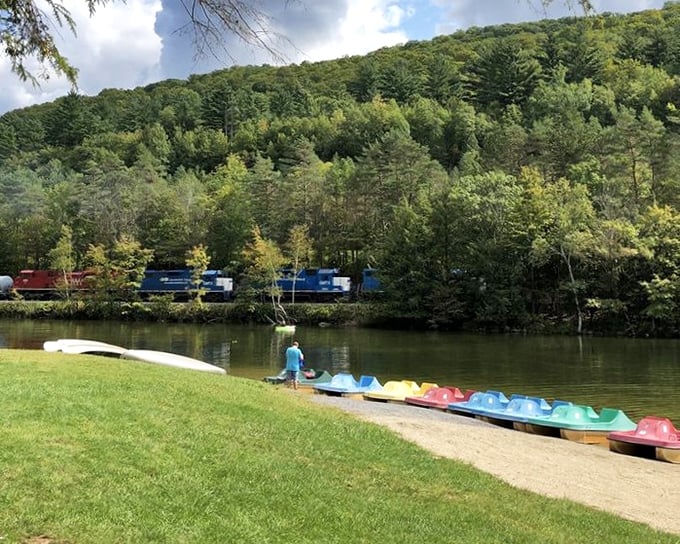 Rainbow fleet of paddle boats standing at attention, ready to ferry adventurers across Emerald Lake's shimmering surface.