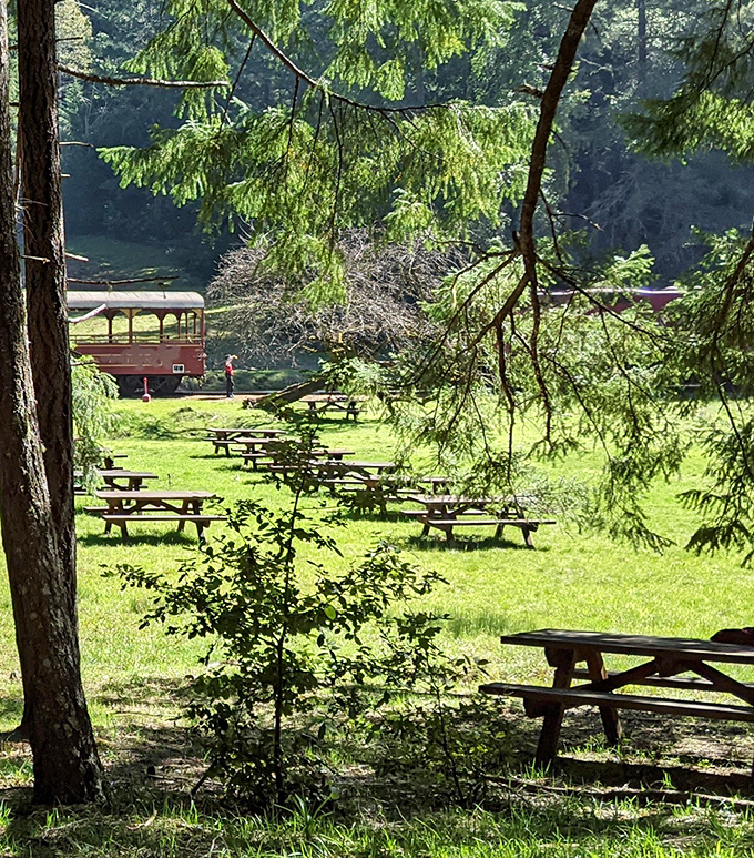 Nature's dining room awaits! These picnic tables scattered beneath the redwoods offer perhaps the most scenic lunch spot in Mendocino County.