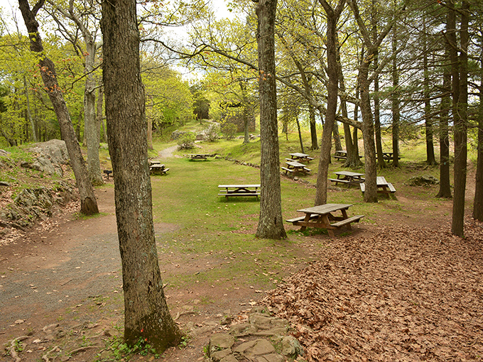 Picnic tables scattered like chess pieces among the trees offer the perfect excuse to extend your "quick hike" into an all-day affair. Food always tastes better with a side of nature. 