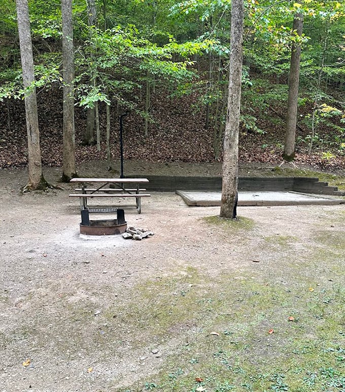 Primitive perfection. This no-frills campsite offers the essentials: a place for fire, food, and forgetting about your inbox.