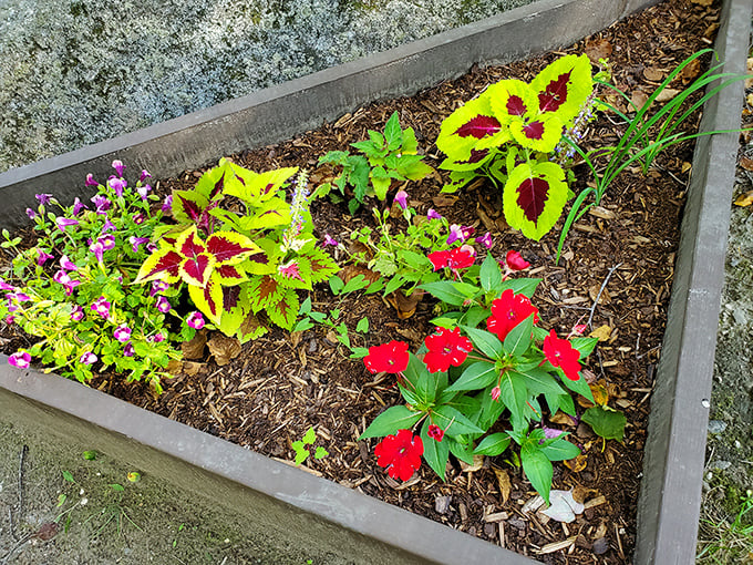 Vermont's version of a five-star hotel lobby. These vibrant flowers welcome visitors with more charm than any concierge.